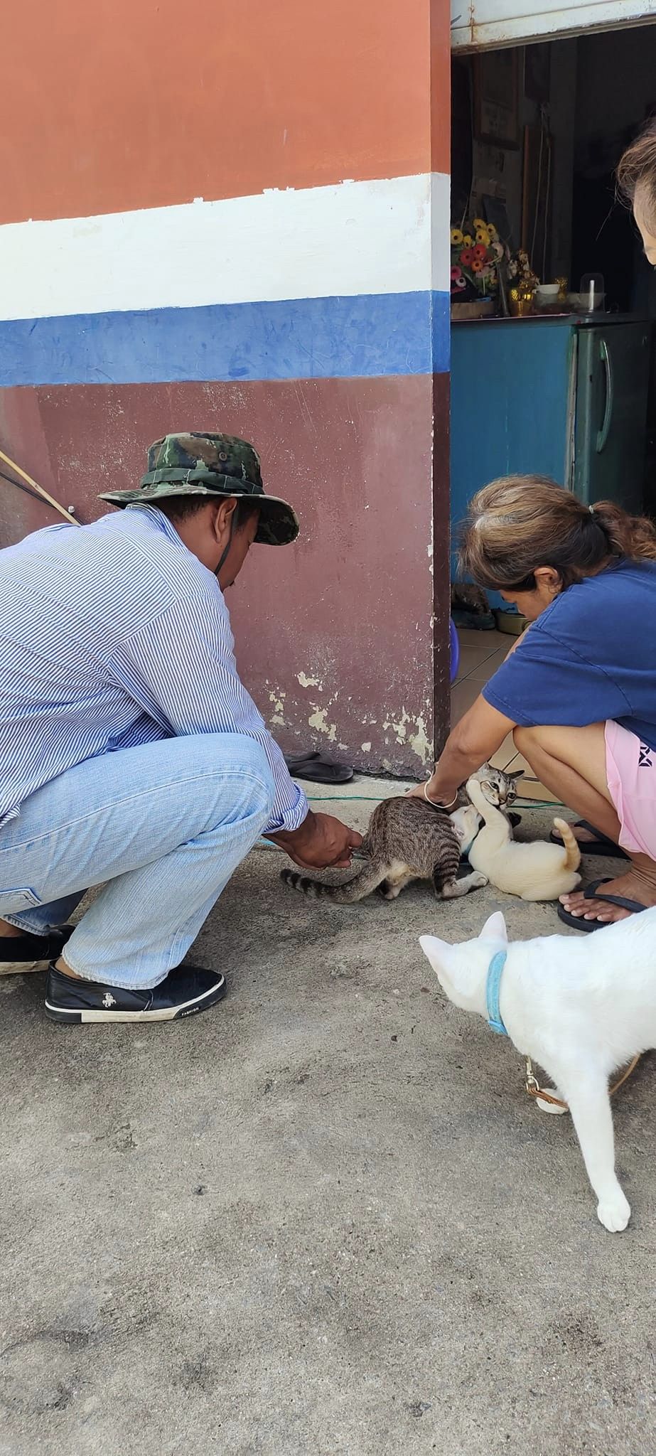 ฉีดวัคซีนป้องกันโรคพิษสุนัขบ้าให้แก่สุนัขและแมว ตามโครงการรณรงค์ป้องกันโรค พิษสุนัขบ้า ประจำปี 2567